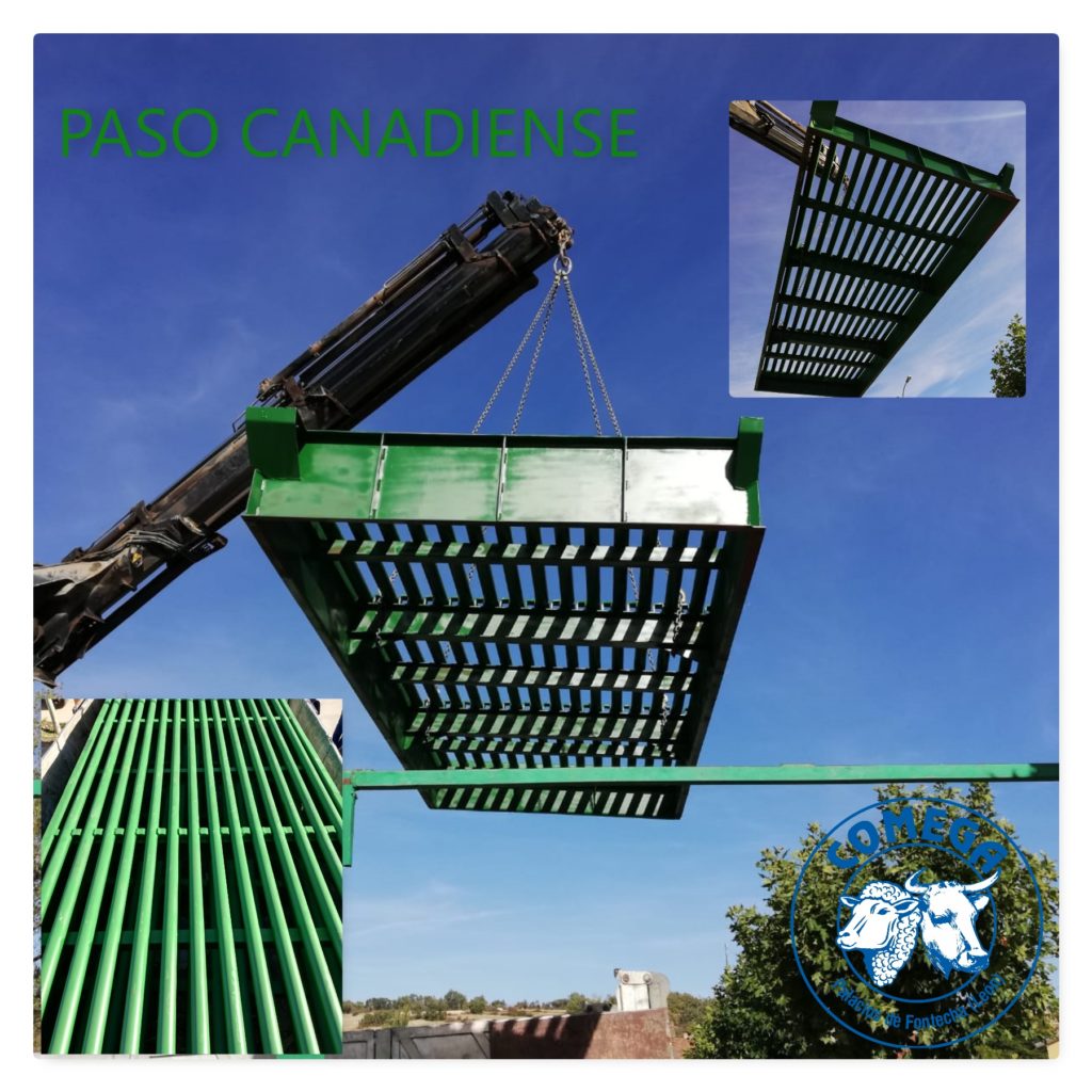 Pasos Canadienses - Comega